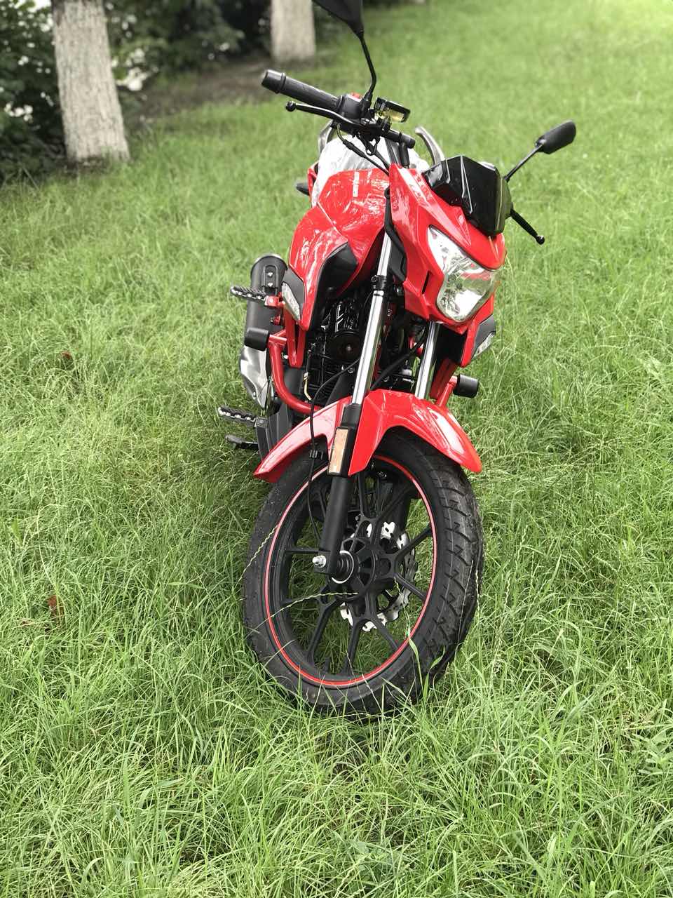 Мотоцикл Sanke Shark SK200-12 купить в Украине, цены, продажа, интернет-магазин Пробензо